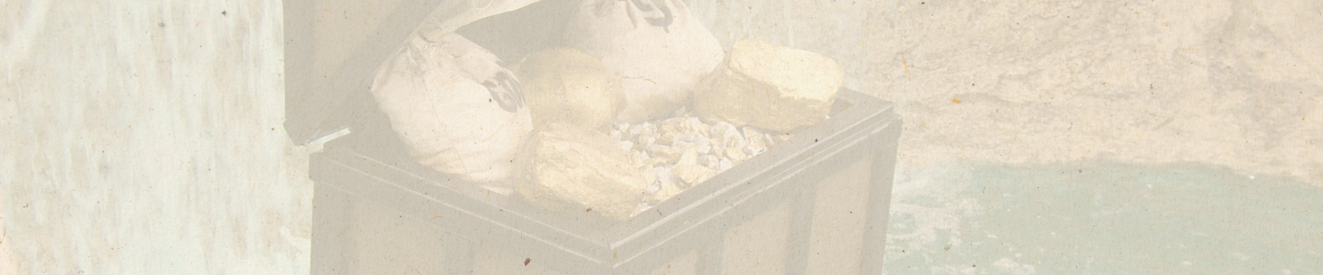 Our History - Lost Treasure Golf - Mini Golf Course